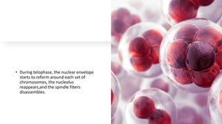 SCIENCE.pptxdfhjkkllllllllrfghyrewr5.mjiy
