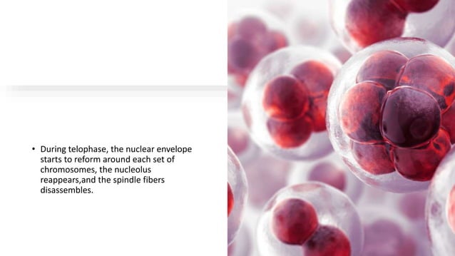 SCIENCE.pptxdfhjkkllllllllrfghyrewr5.mjiy