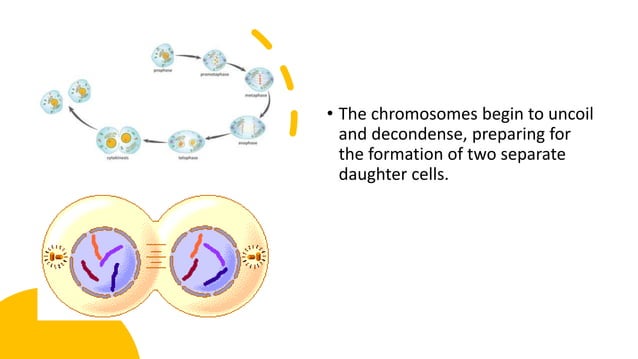 SCIENCE.pptxdfhjkkllllllllrfghyrewr5.mjiy