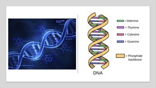 science Protein Synthesis Quarter 3 Grade 10.pptx