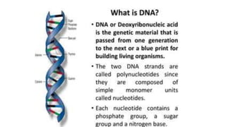science Protein Synthesis Quarter 3 Grade 10.pptx