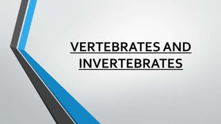 Science presentation on vertebrates and invertebrates. It has different ...