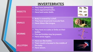 Science presentation on vertebrates and invertebrates. It has different ...