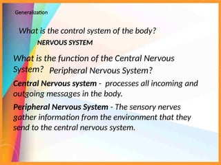 Science. The Nervous System and their functions pptx | PPTX