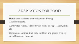 Adaptation in Animals Chapter 6 Made by GARVIT BANSAL | PPT