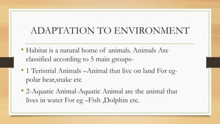 Adaptation in Animals Chapter 6 Made by GARVIT BANSAL | PPT