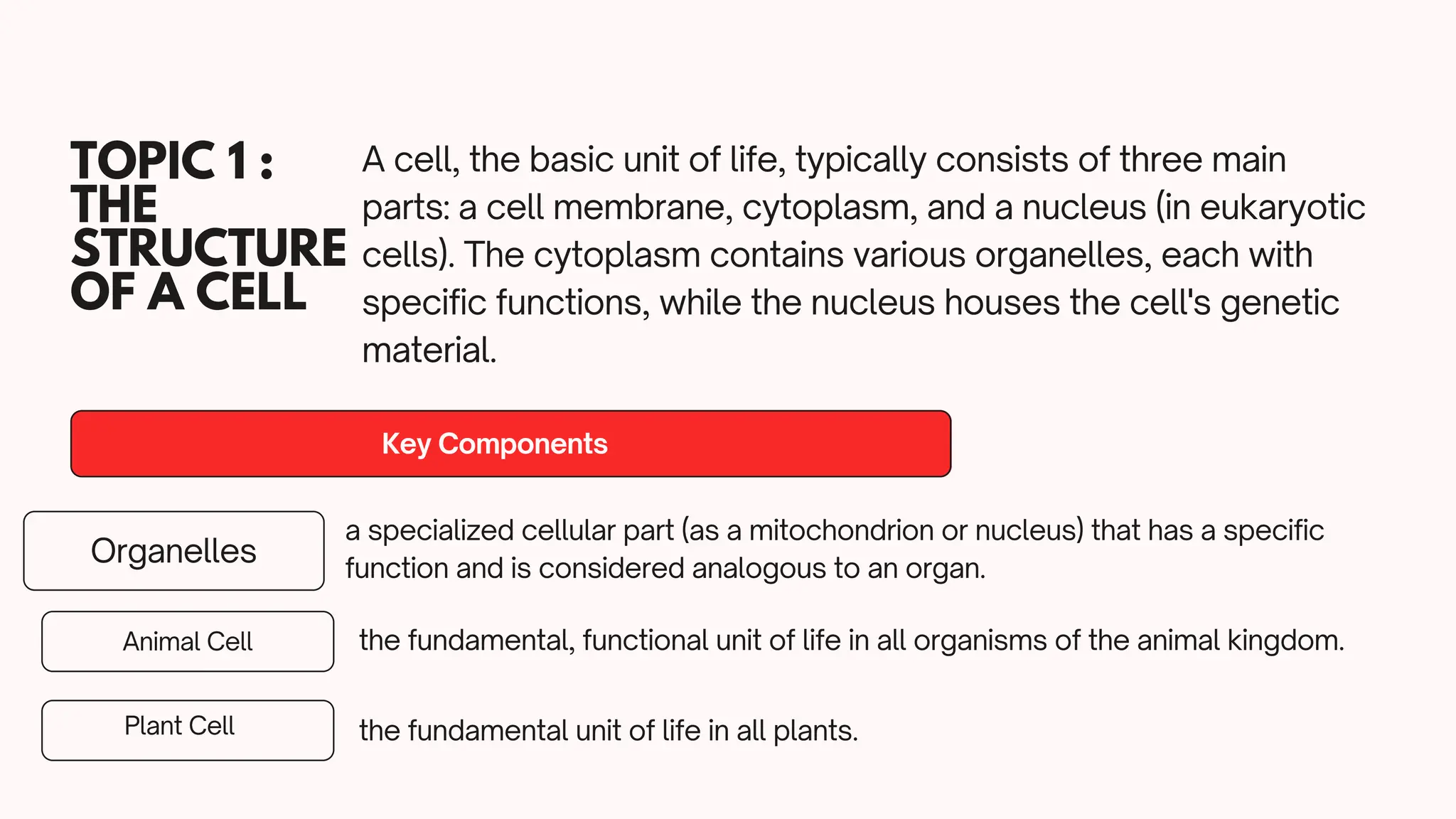 Biology: Structure of the Cell.pdfhwbsbsban | PDF