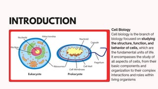 Biology: Structure of the Cell.pdfhwbsbsban | PDF