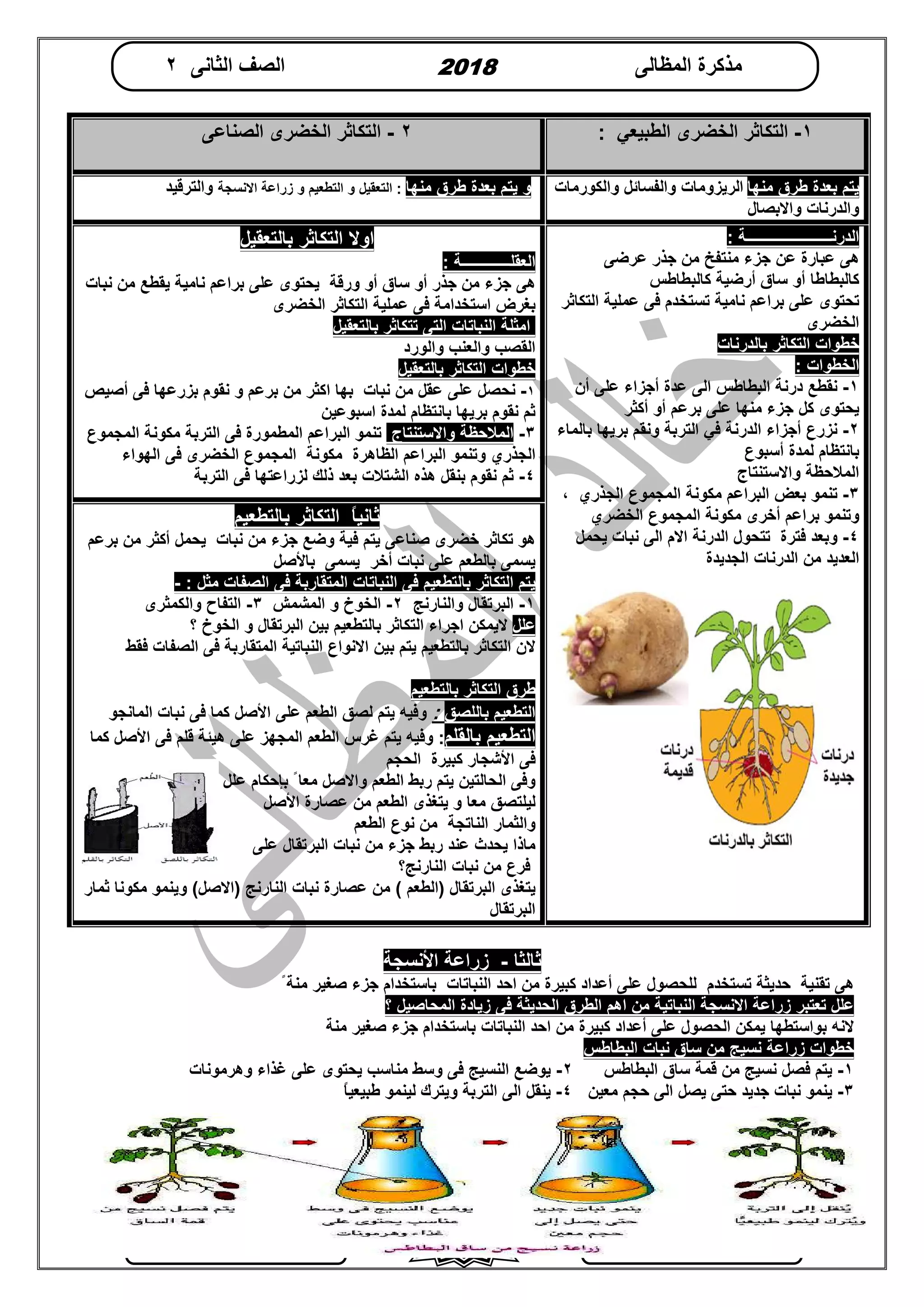 Science 2nd-preparatory-second-term (2) | PDF