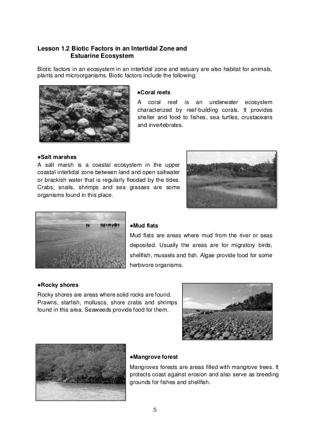 SCIENCE-5-Q2-Week-6.pdf