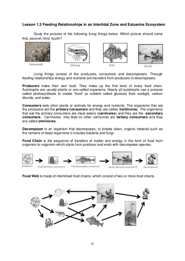 SCIENCE-5-Q2-Week-6.pdf