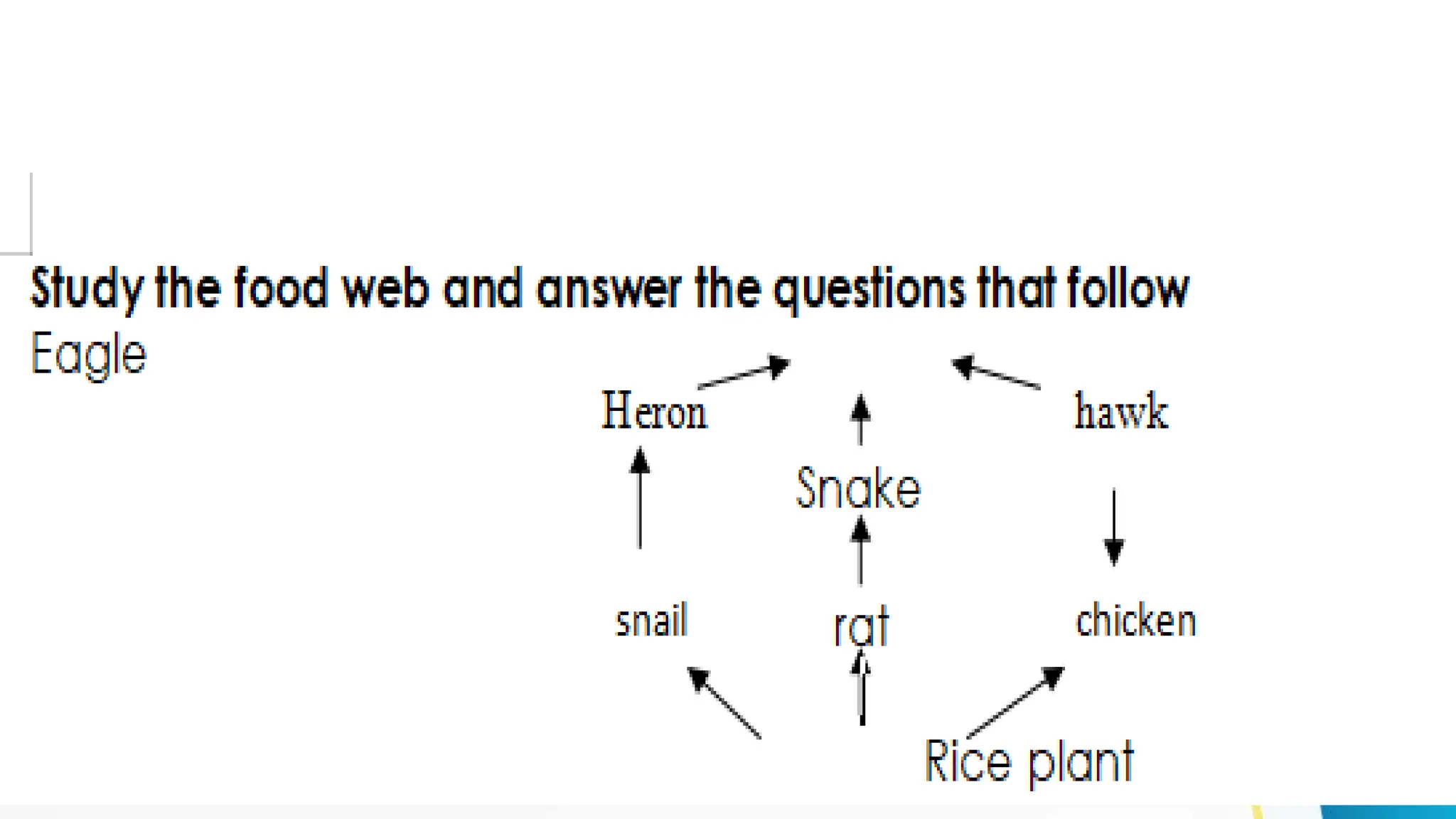 Grade 6 Elementary Science-6-NAT-reviewer.pptx