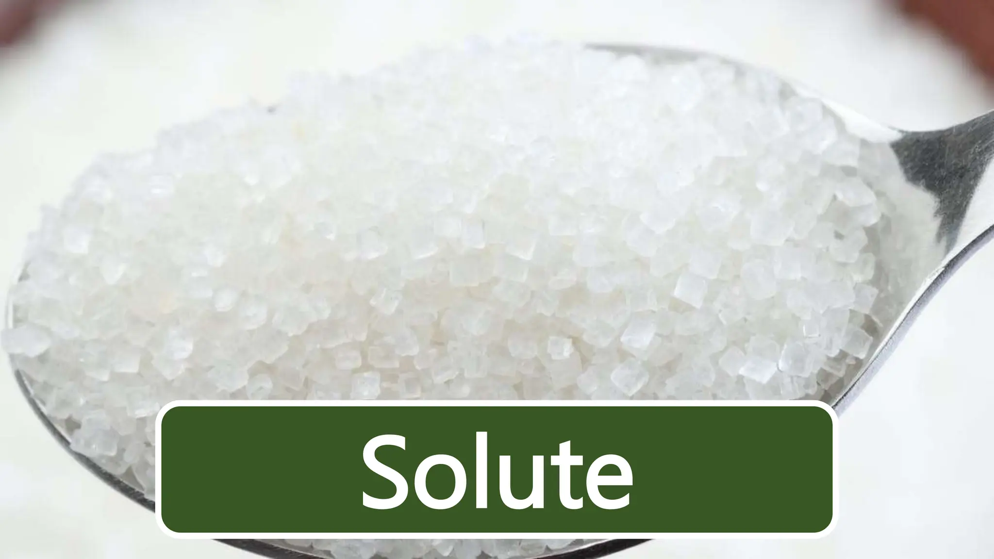 Science-6-Wk-2-L2-Differentiating-a-Solute-from-a-Solvent-PPT.pptx