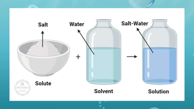 Science-6-Wk-2-L2-Differentiating-a-Solute-from-a-Solvent-PPT.pptx ...