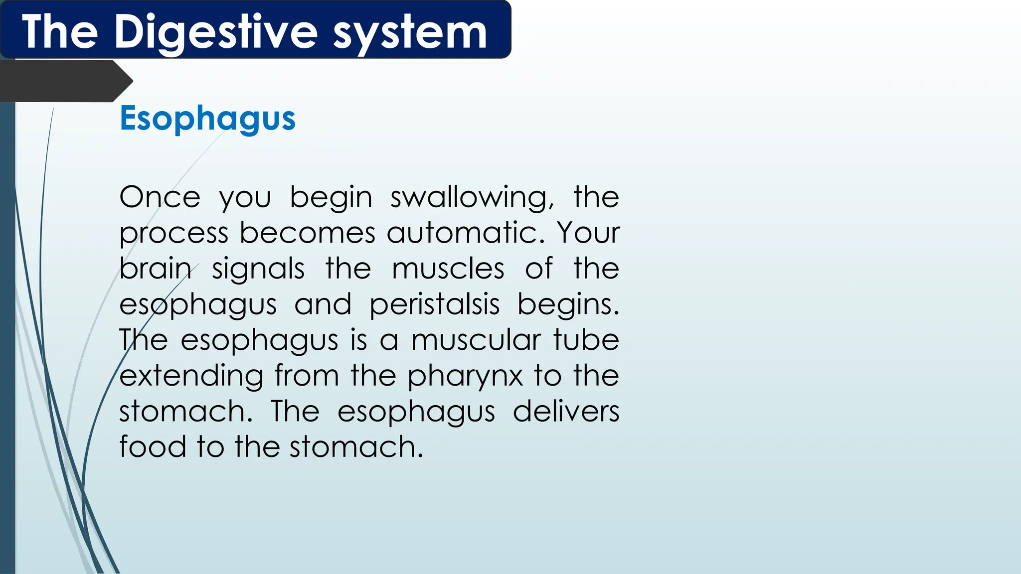 Science-8-Q4-Week-1.pptxjevevvvnvjfjffjfjf t | PPTX