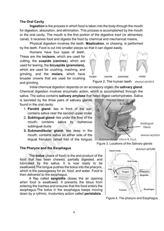 SCIENCE-8-QUARTER-4-MODULE-1. patways of food in digestive systempdf | PDF