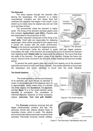 SCIENCE-8-QUARTER-4-MODULE-1. patways of food in digestive systempdf | PDF