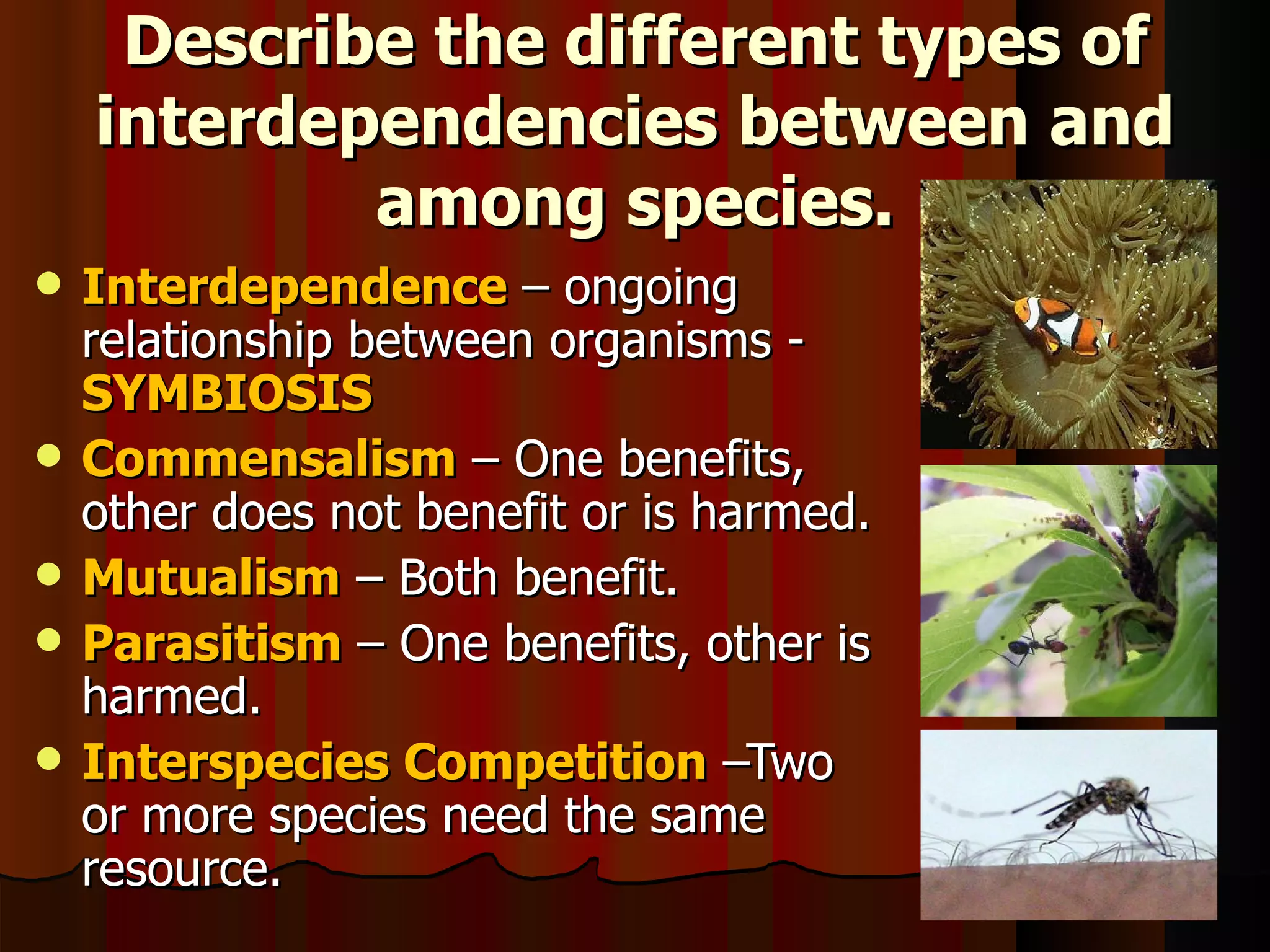 Science 9 Unit A Biological Diversity Section1.2 Lesson Interdependence ...
