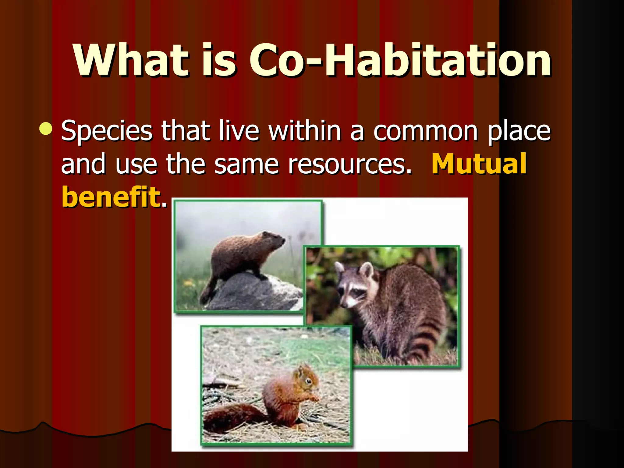 Science 9 Unit A Biological Diversity Section1.2 Lesson Interdependence ...