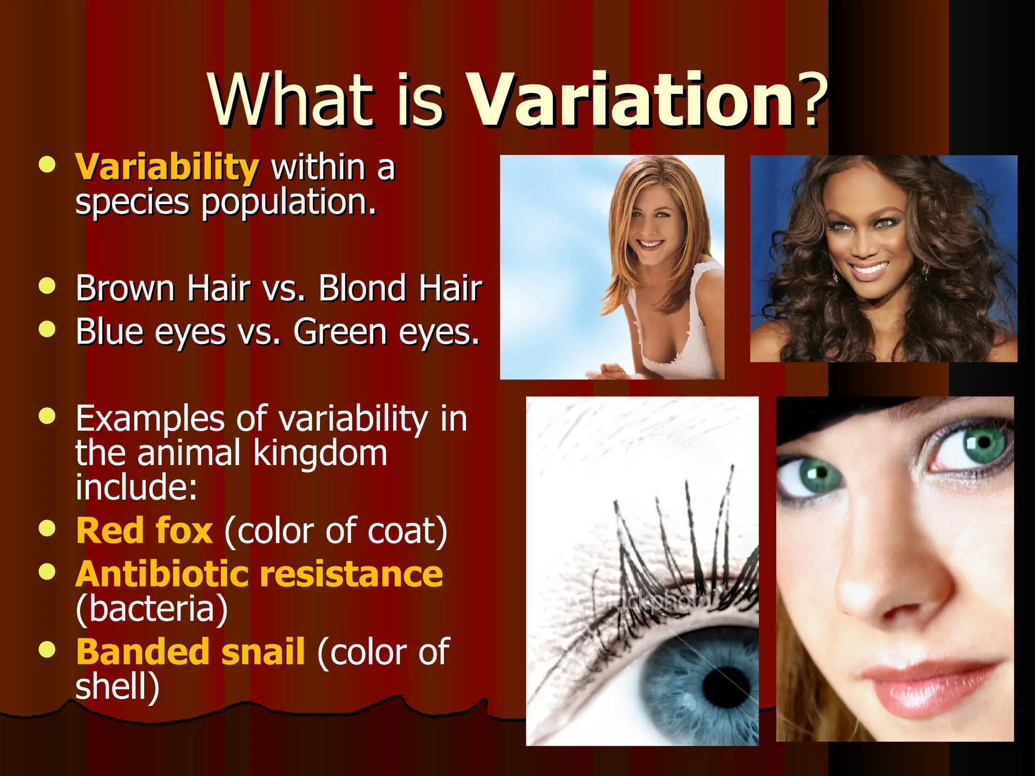 Science 9 Unit A Biological Diversity Section1 Lesson1 | PPT