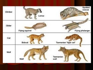 Science 9 Unit A Biological Diversity Section1 Lesson1 | PPT