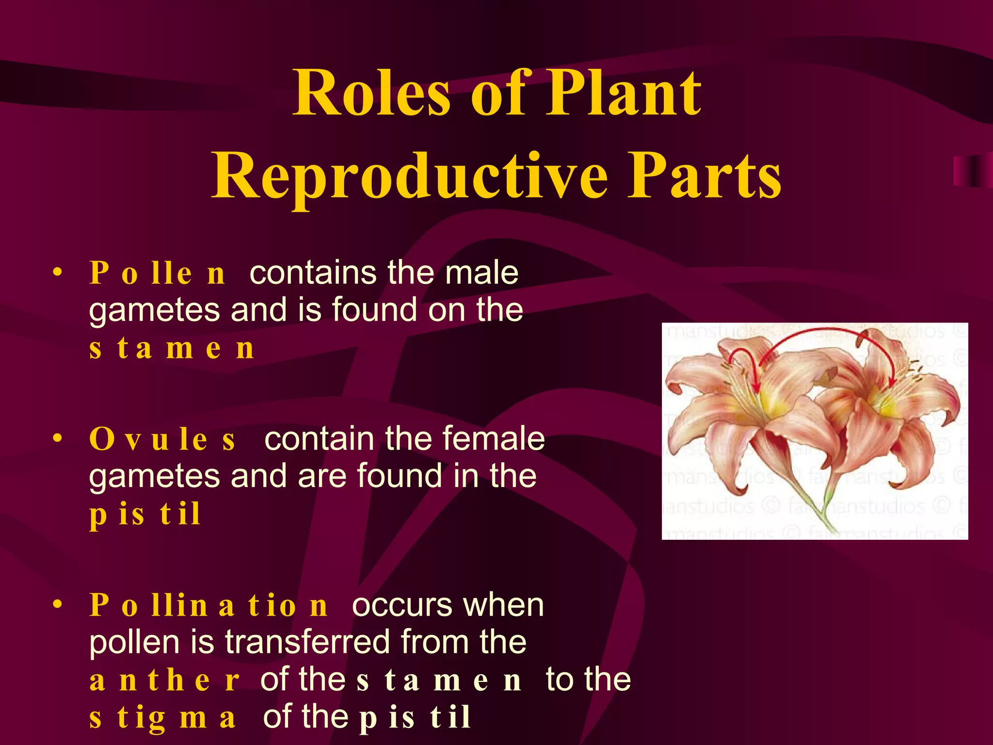 Science 9 Unit A Biological Diversity Section2 Lesson4 Asexual Sexual ...
