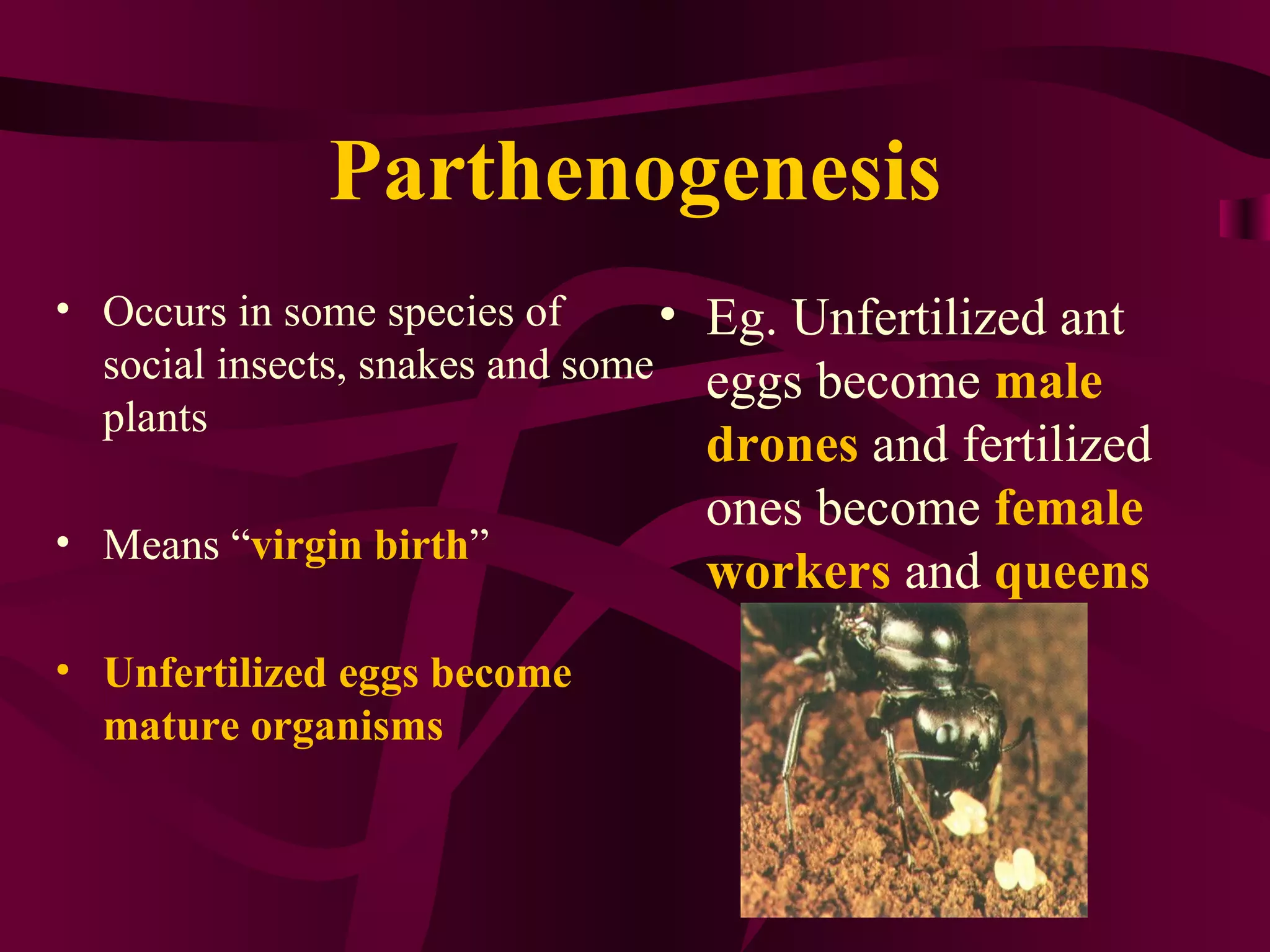 Science 9 Unit A Biological Diversity Section2 Lesson4 Asexual Sexual ...