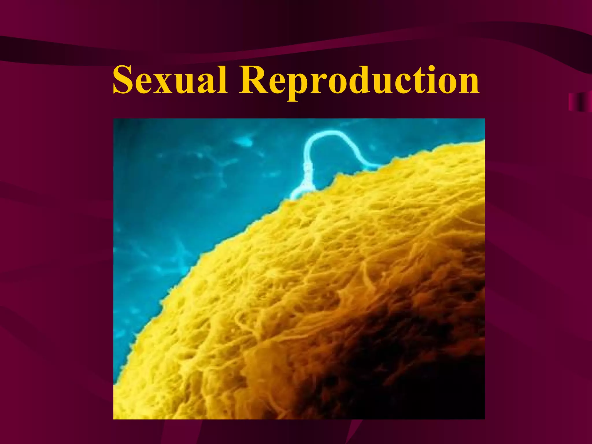 Science 9 Unit A Biological Diversity Section2 Lesson4 Asexual Sexual ...