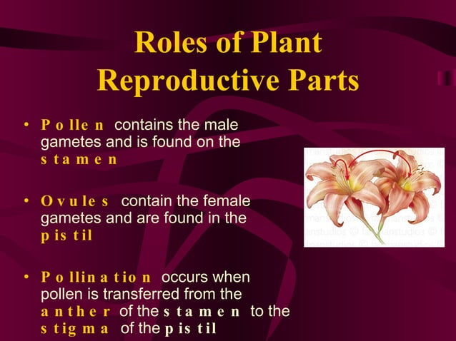 Science 9 Unit A Biological Diversity Section2 Lesson4 Asexual Sexual ...