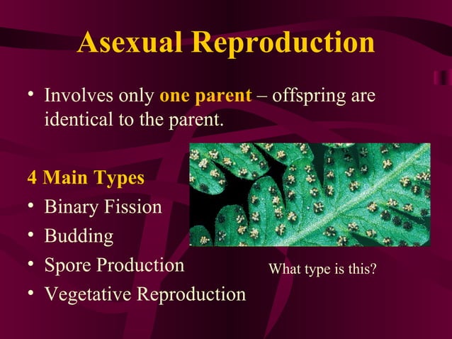 Science 9 Unit A Biological Diversity Section2 Lesson4 Asexual Sexual ...