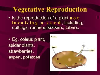 Science 9 Unit A Biological Diversity Section2 Lesson4 Asexual Sexual ...