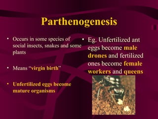 Science 9 Unit A Biological Diversity Section2 Lesson4 Asexual Sexual ...