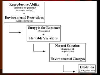 Science 9 Unit A Biological Diversity Section2 Lesson Variation | PPT