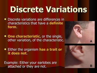 Science 9 Unit A Biological Diversity Section2 Lesson Variation | PPT