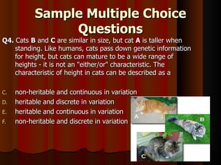 Science 9 Unit A Biological Diversity Section2 Lesson Variation | PPT