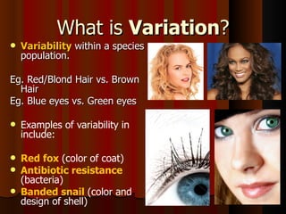 Science 9 Unit A Biological Diversity Section2 Lesson Variation | PPT
