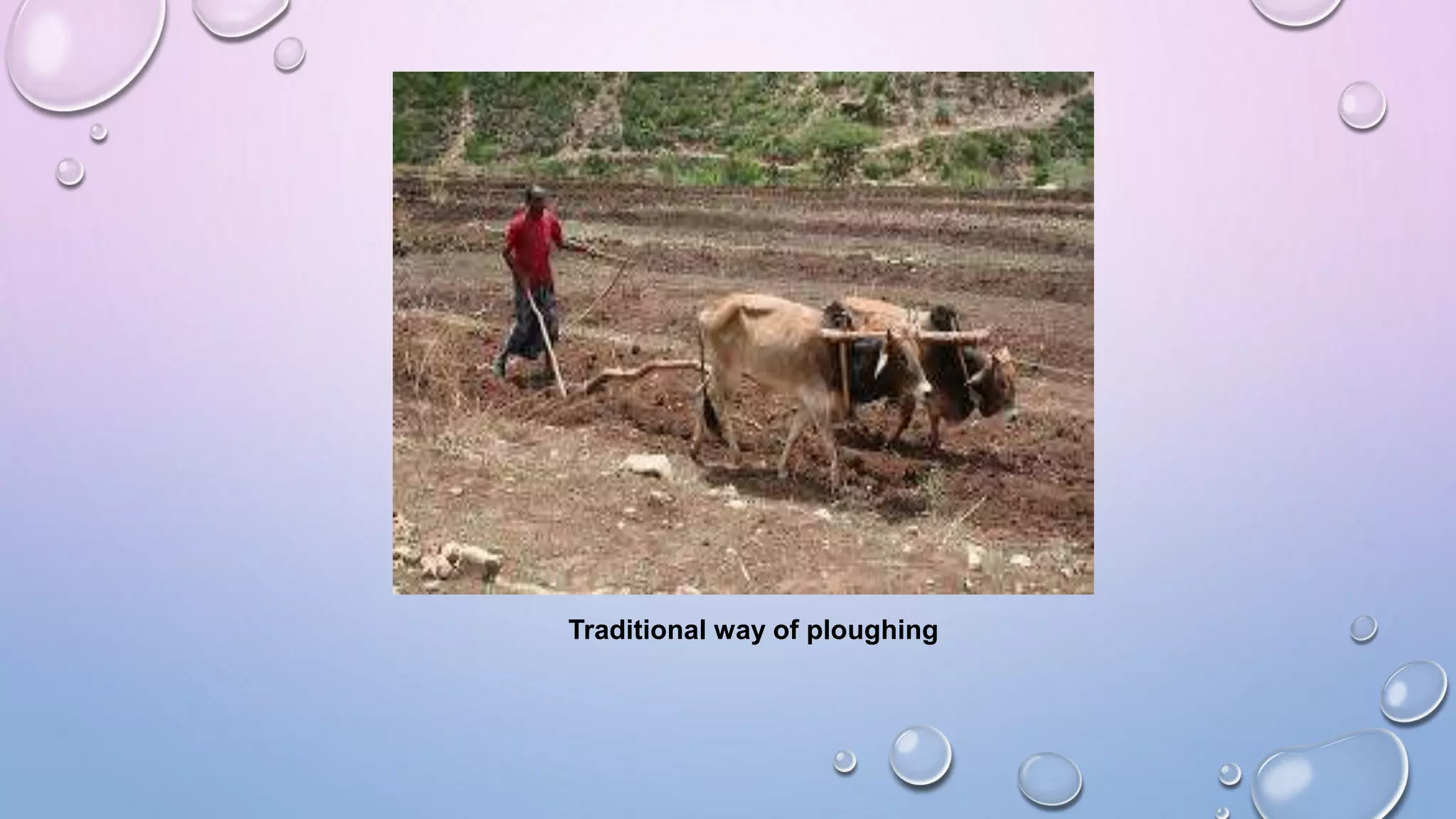 crop production and management | PPTX | Agriculture | Industries