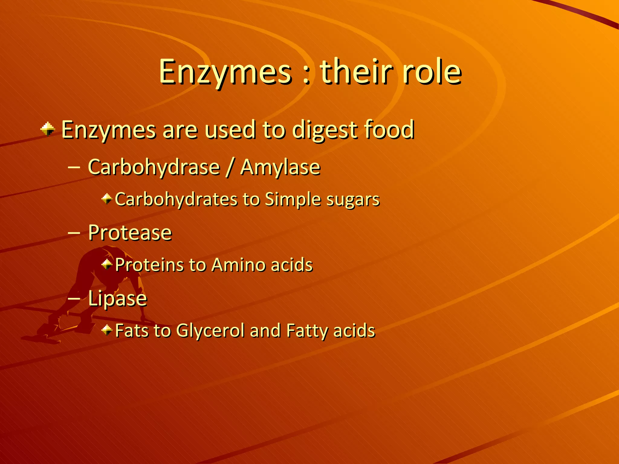 Digestive System | PPT