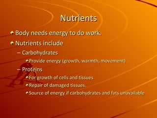 Digestive System | PPT