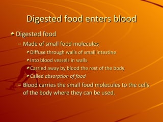 Digestive System | PPT