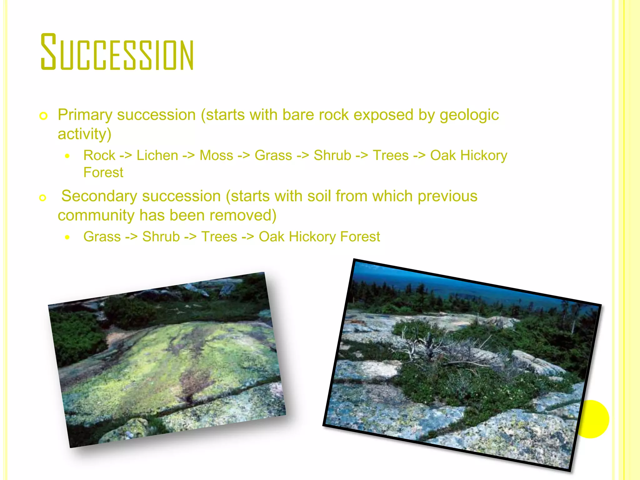 Science biome project | PPT