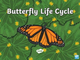 Science - butterfly-life-cycle-powerpoint.ppt
