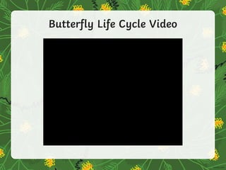 Science - butterfly-life-cycle-powerpoint.ppt