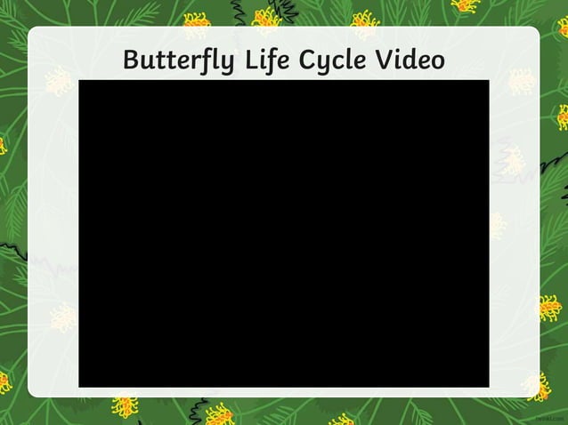 Butterfly Life Cycle-Grade 3 powerpoint presentation | PPT | Biological ...