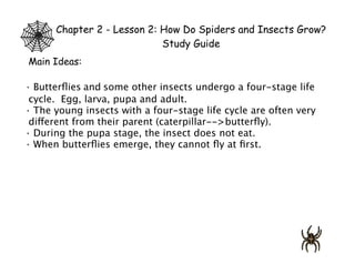 Science chapter 2 lesson 2 study guide | PDF