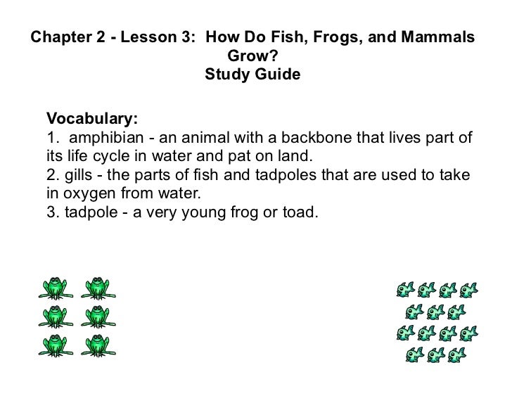 Science chapter 2 lesson 3