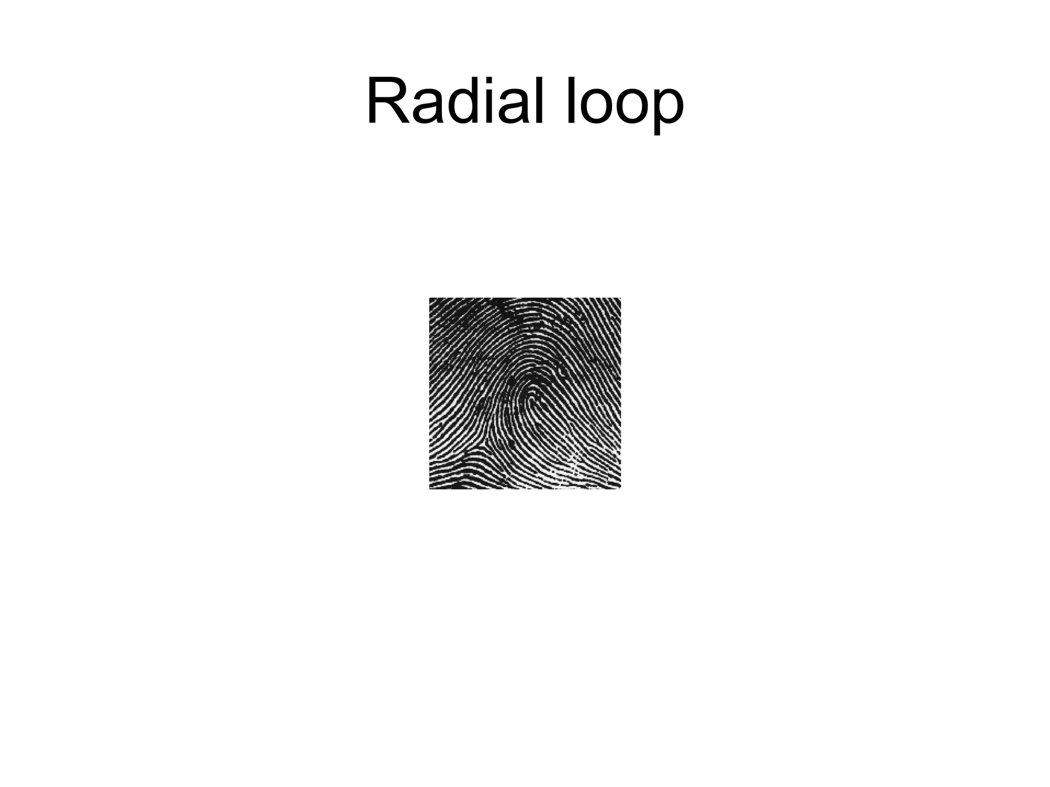 Science Crime Busters Fingerprints Ppt Ppt Free Download