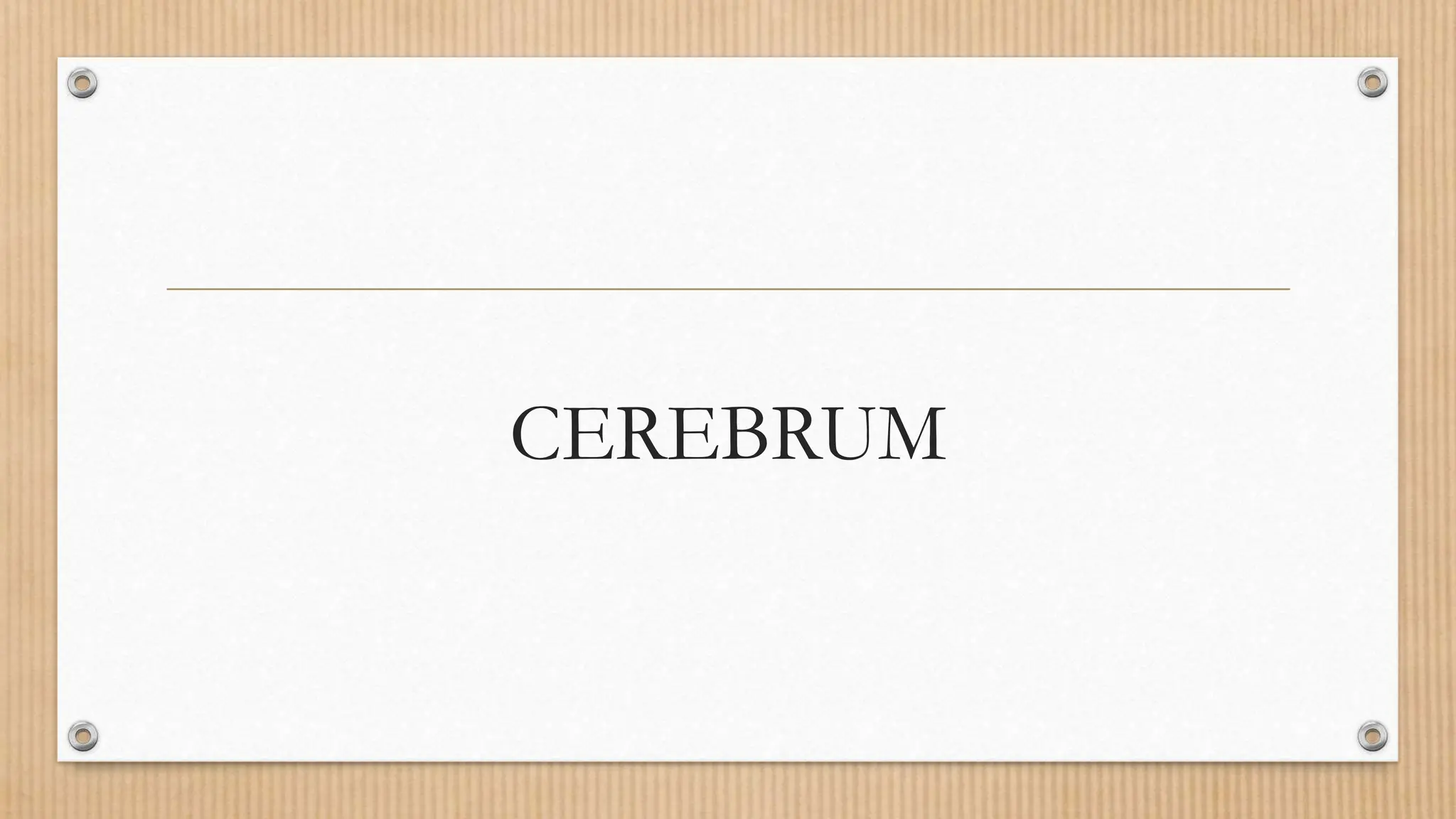 SCIENCE-DEMO2.pptx in science about Reproductive System | PPTX