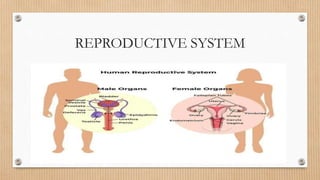 SCIENCE-DEMO2.pptx in science about Reproductive System | PPTX
