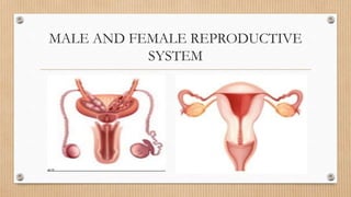 SCIENCE-DEMO2.pptx in science about Reproductive System | PPTX